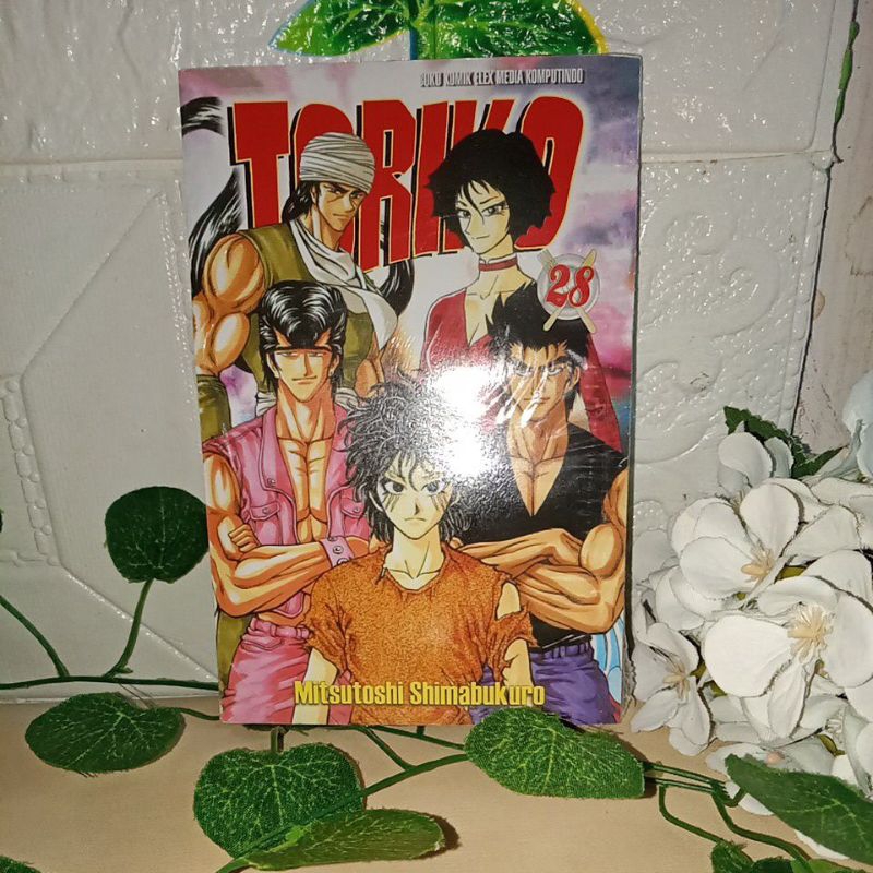 Jual KOMIK SEGEL! Toriko Vol.28 - Mitsutoshi Shimabukuro (SUDAH JADI ...