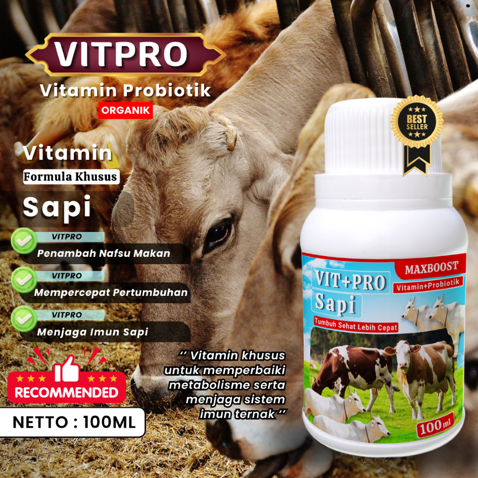 Jual Maxboost - Vitamin Ternak Organik Penggemuk Sapi Meningkatkan ...