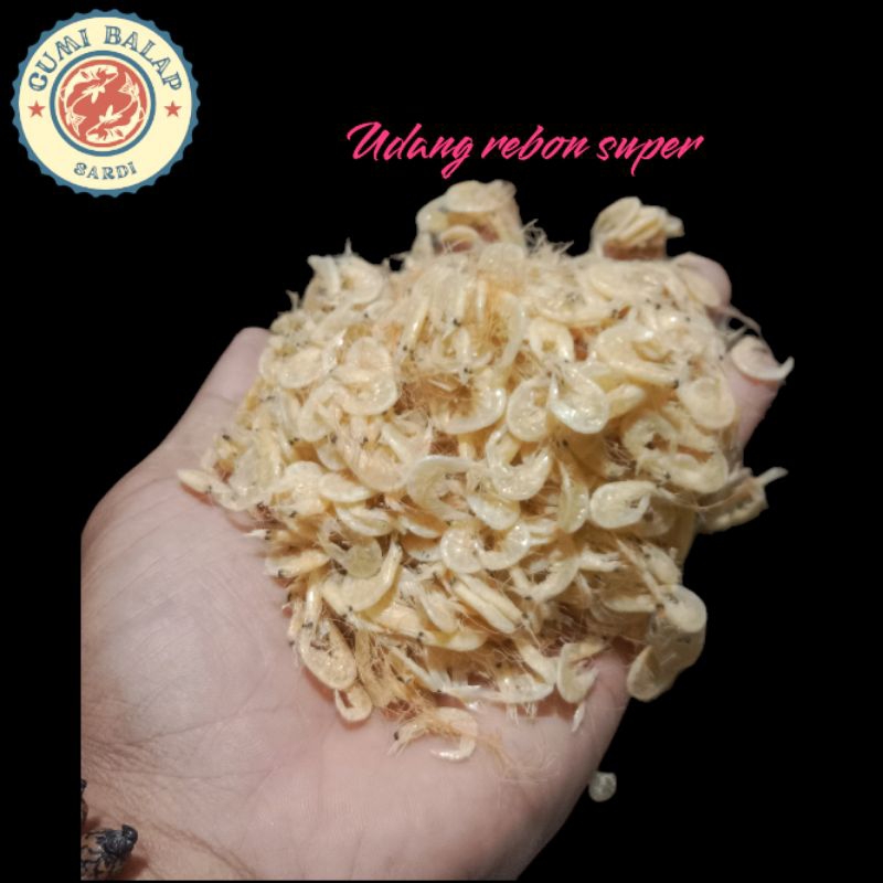 Jual udang rebon/rebon asin/ikan udang rebon. | Shopee Indonesia
