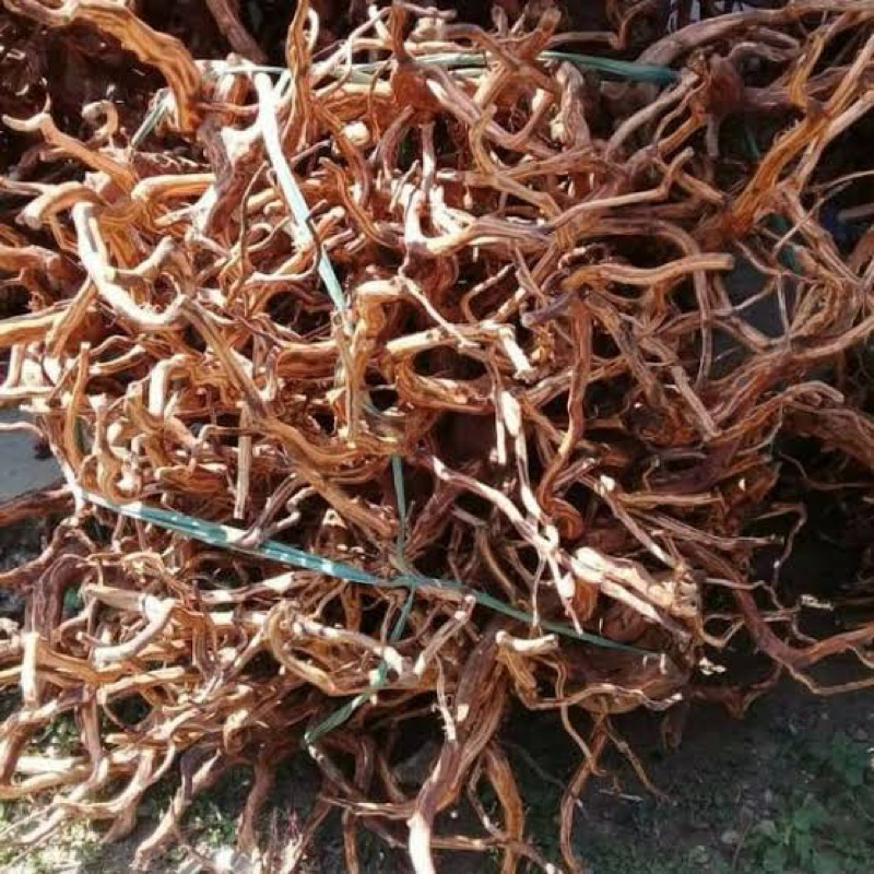 Jual Kayu Rasamala | Shopee Indonesia