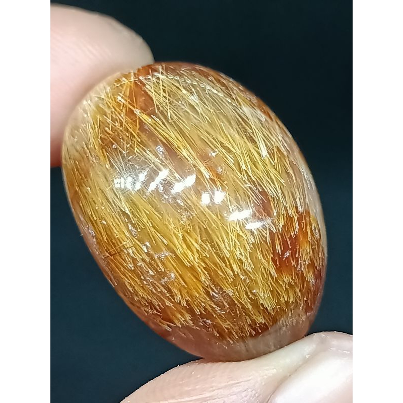 Jual Batu Posil Pohon Kelapa , Jumbo | Shopee Indonesia