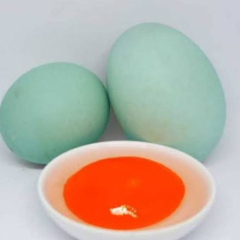 Jual TELUR BEBEK MENTAH HARGA PER 5 Butir | Shopee Indonesia