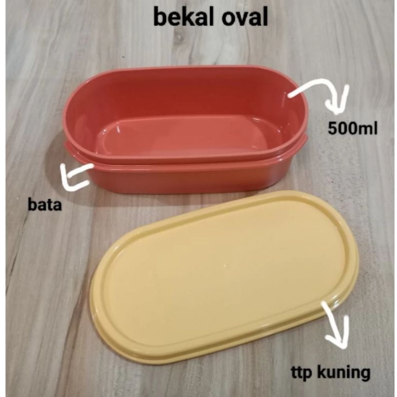 Jual ORIGINAL TUPPERWARE BEKAL OVAL MIDI TREASURE 1PC | Shopee Indonesia