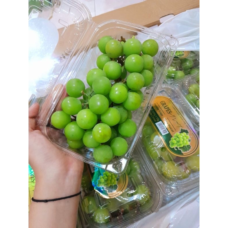 Jual ANGGUR SHINE MUSCAT MANIS TANPA BIJI FRESH 500gr/pack | Shopee ...