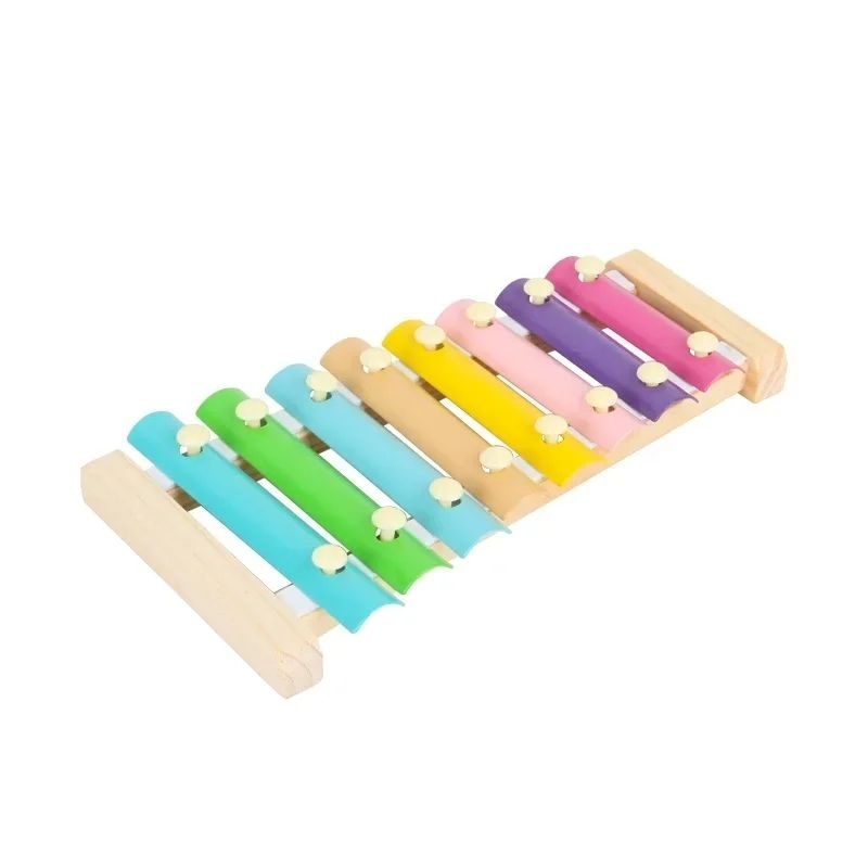 Jual Mainan anak edukasi xylophone alat musik ketuk untuk anak ...