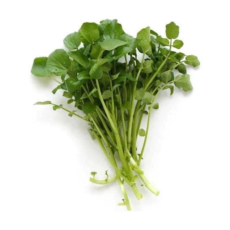 Jual Daun Slada Air Ikat Fresh | Shopee Indonesia