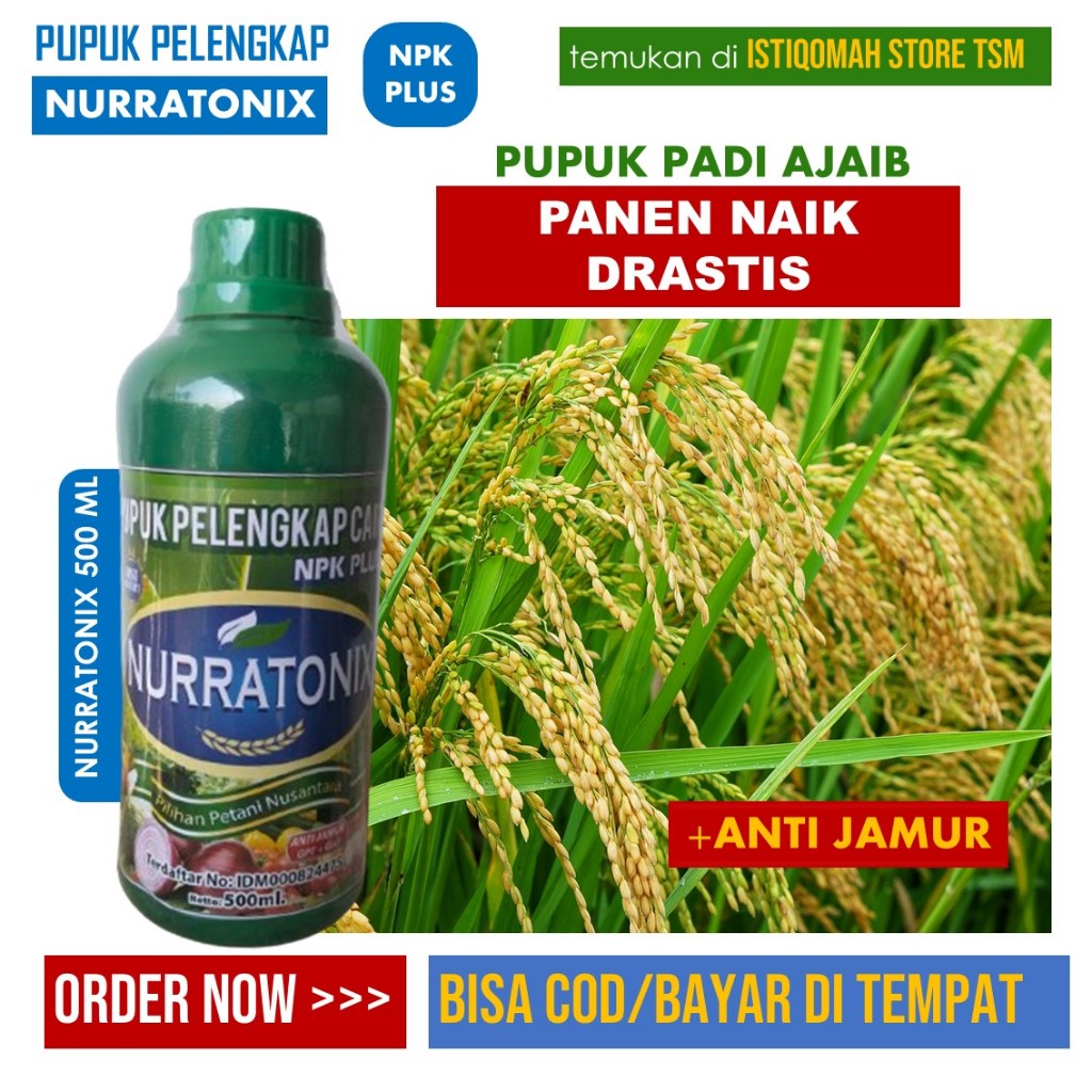Jual PROMO PUPUK PADI Terbaik Melebatkan Anakan Padi PUPUK NPK Plus Pelengkap Cair Pengganti ...