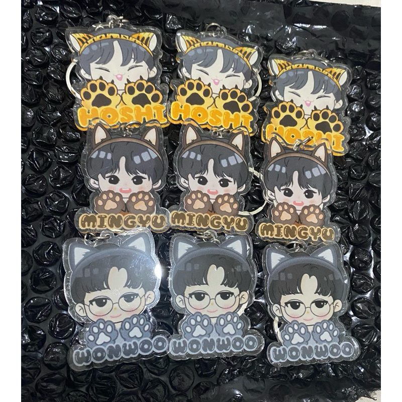 Jual KEYCHAIN CHIBI HOSHI MINGYU WONWOO | Shopee Indonesia