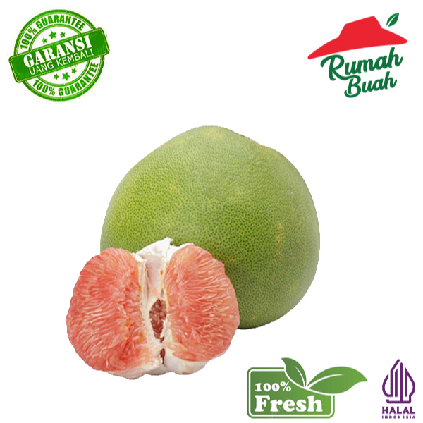 Jual JERUK BALI POMELO PAMELO [RUMAH BUAH] | Shopee Indonesia