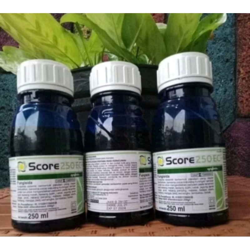 Jual FUNGISIDA SCORE 250 EC / Syegenta 250ml | Shopee Indonesia