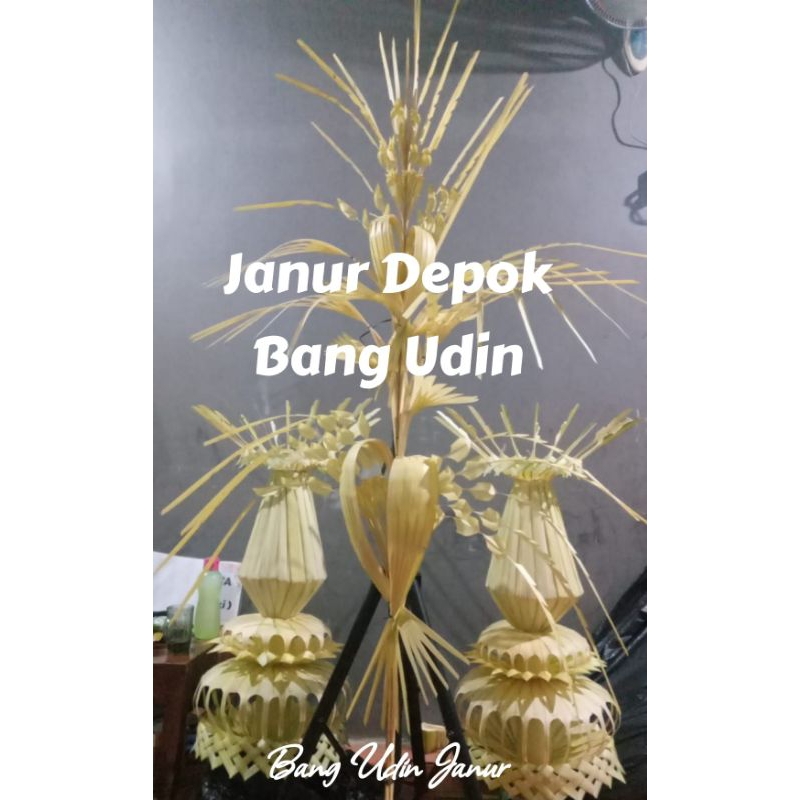 Jual janur depok, janur super (tigatingkat) | Shopee Indonesia