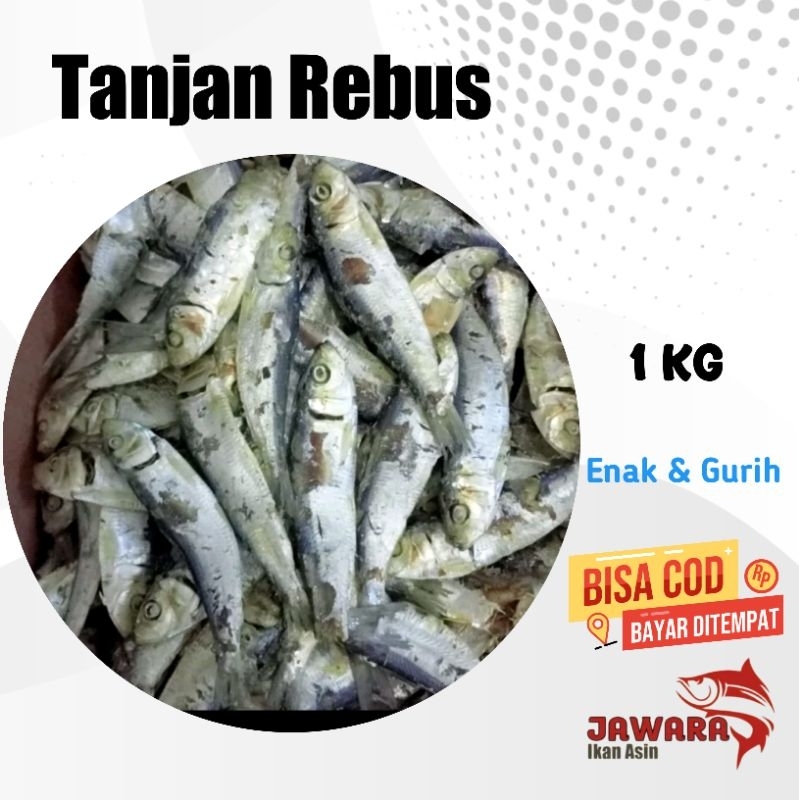 Jual Ikan Asin Tanjan Tanjan Rebus 1 KG | Shopee Indonesia