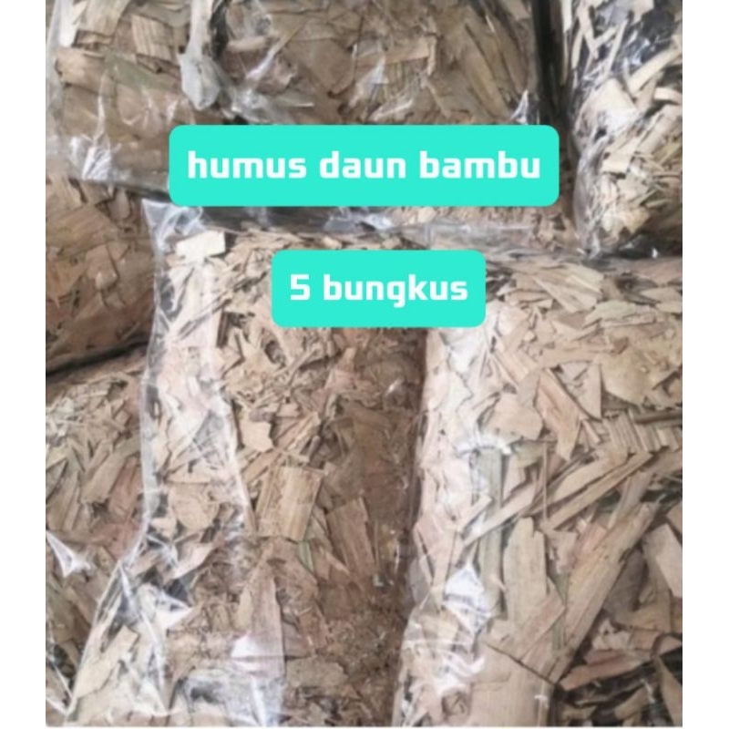 Jual humus daun bambu 5 bungkus | Shopee Indonesia