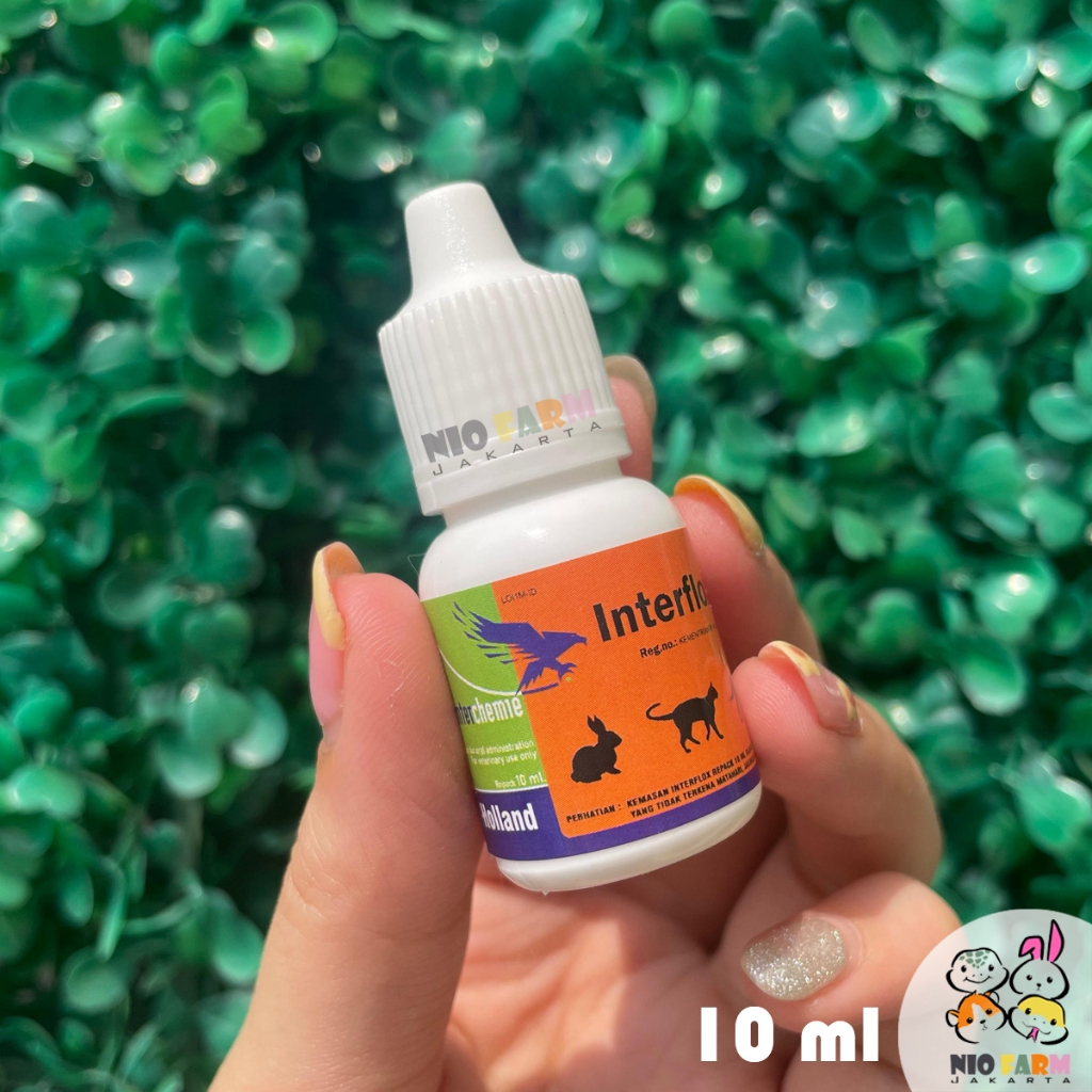 Jual Interflox Oral 10ml - OBAT FLU PILEK KUCING KELINCI 10ml | Shopee ...