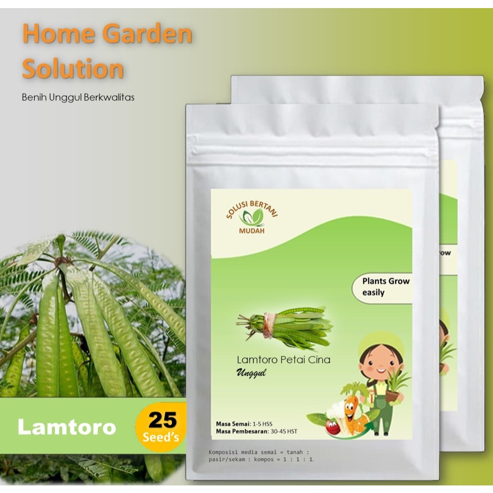Jual 25 Bibit Benih Lamtoro Petai Cina | Shopee Indonesia