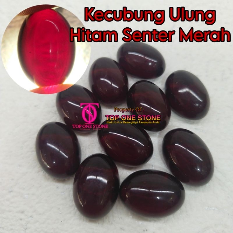Jual [TOS] KECUBUNG ULUNG ( HITAM TEMBUS MERAH ) | Shopee Indonesia