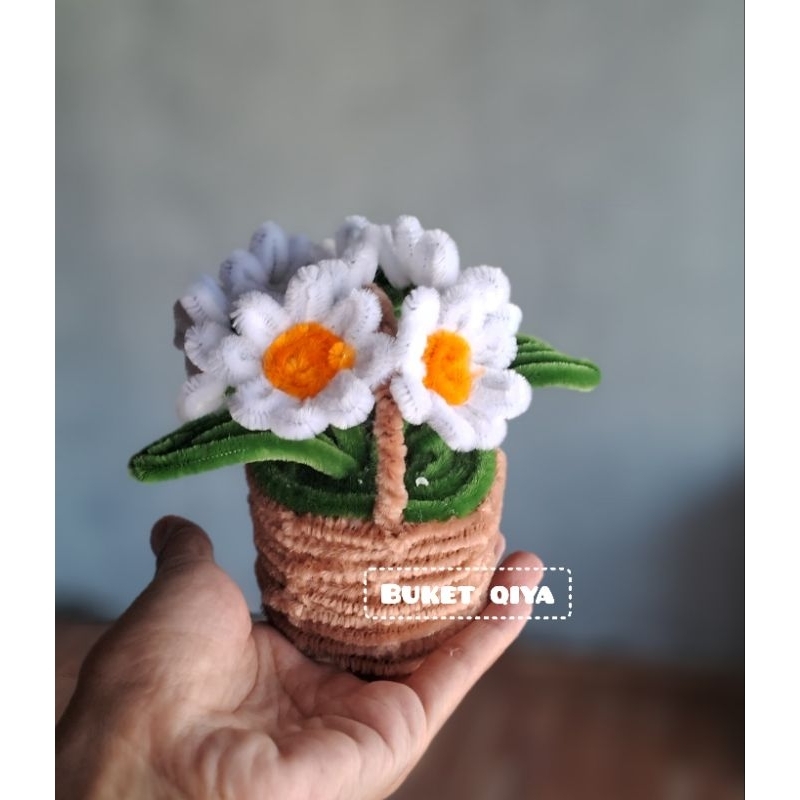 Jual MINI DAISY PUTIH | Shopee Indonesia