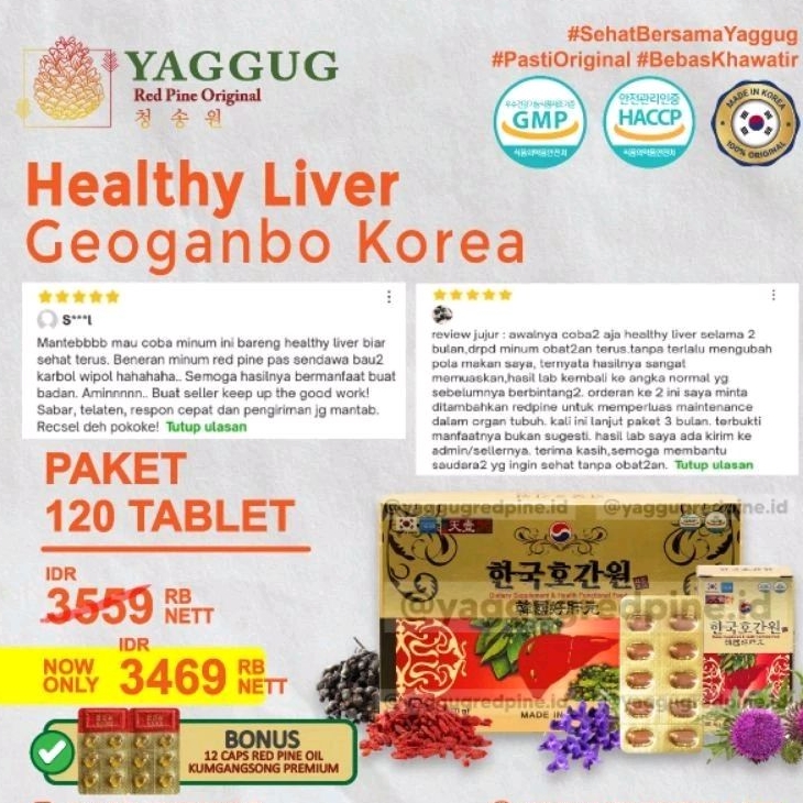 Jual Healthy Liver Geoganbo 100% Original Korea (120/240/360 Tabs ...