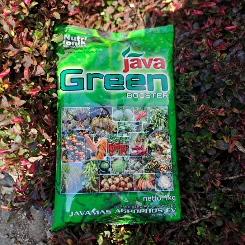 Jual Java Green 1 Kg Pupuk Mikro Daun | Shopee Indonesia