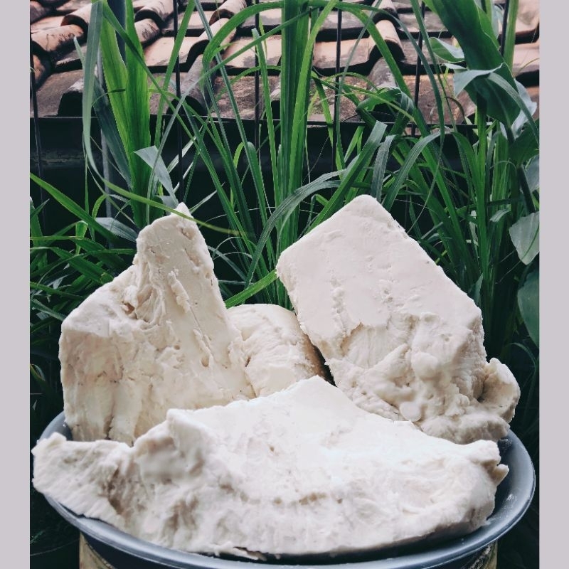 Jual Sagu papeda kemasan 1kg 100% sari pati pohon sagu | Shopee Indonesia