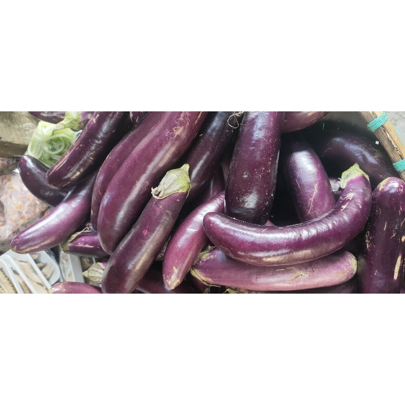 Jual Terong Ungu ( Terong Panjang ) 500 gram | Shopee Indonesia