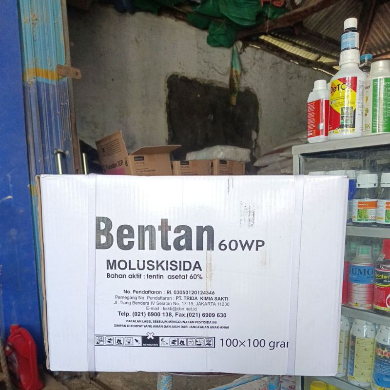 Jual Moluskisida Bentan 60 WP 1 BOX (100 PCS) | Shopee Indonesia