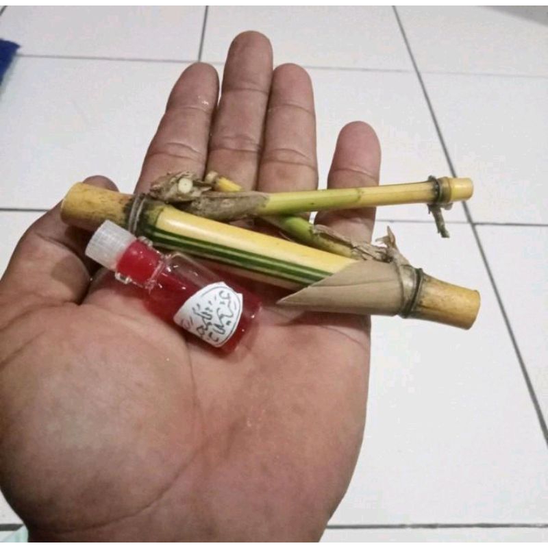 Jual BAMBU PETUK PRING KUNING TEMU RUAS 100%ASLI ORIGINAL ALAM | Shopee ...