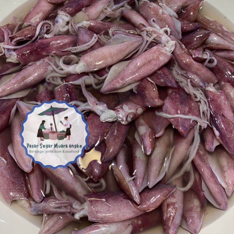 Jual Cumi bangka Segar Seafood hasil laut segar 1 kg | Shopee Indonesia