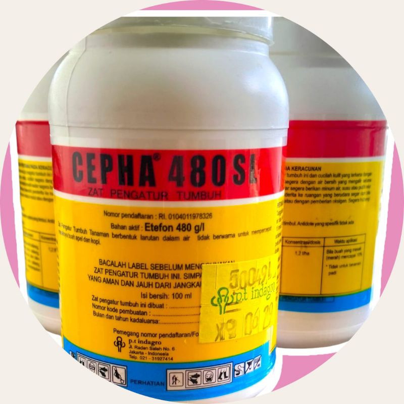 Jual CEPHA 480 SL Etafon 100 ml Zpt percepat pemasakan buah dan daun ...