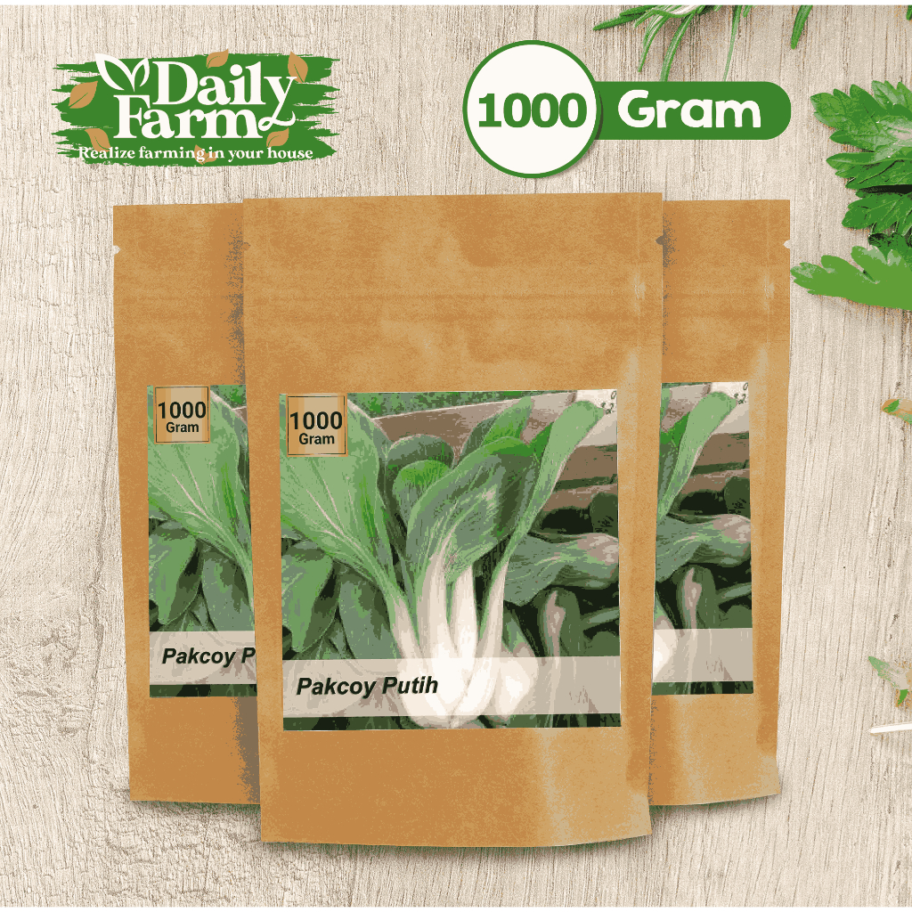 Jual Benih Sayur PakCoy Pak Coy Putih - Sawi Sendok Putih ( 1000 Grm ...