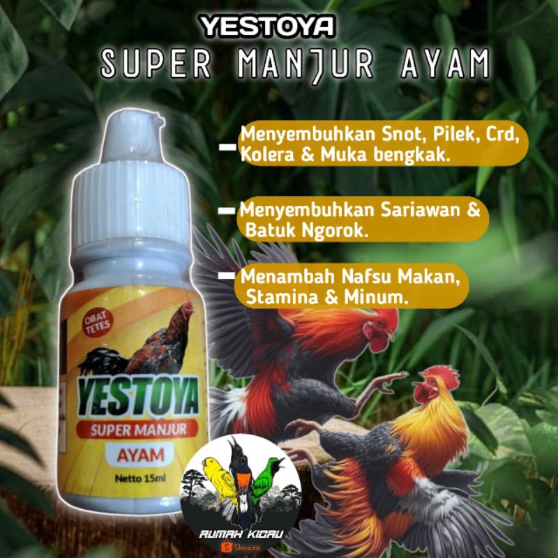 Jual PREBIOTIK AYAM YESTOYA SUPER MANJUR 150ml | Shopee Indonesia