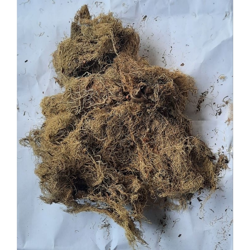 Jual kayu angin ( 1 ons / 100 gram ) | Shopee Indonesia