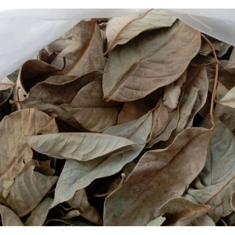 Jual Daun pala kering 500 gram | Shopee Indonesia