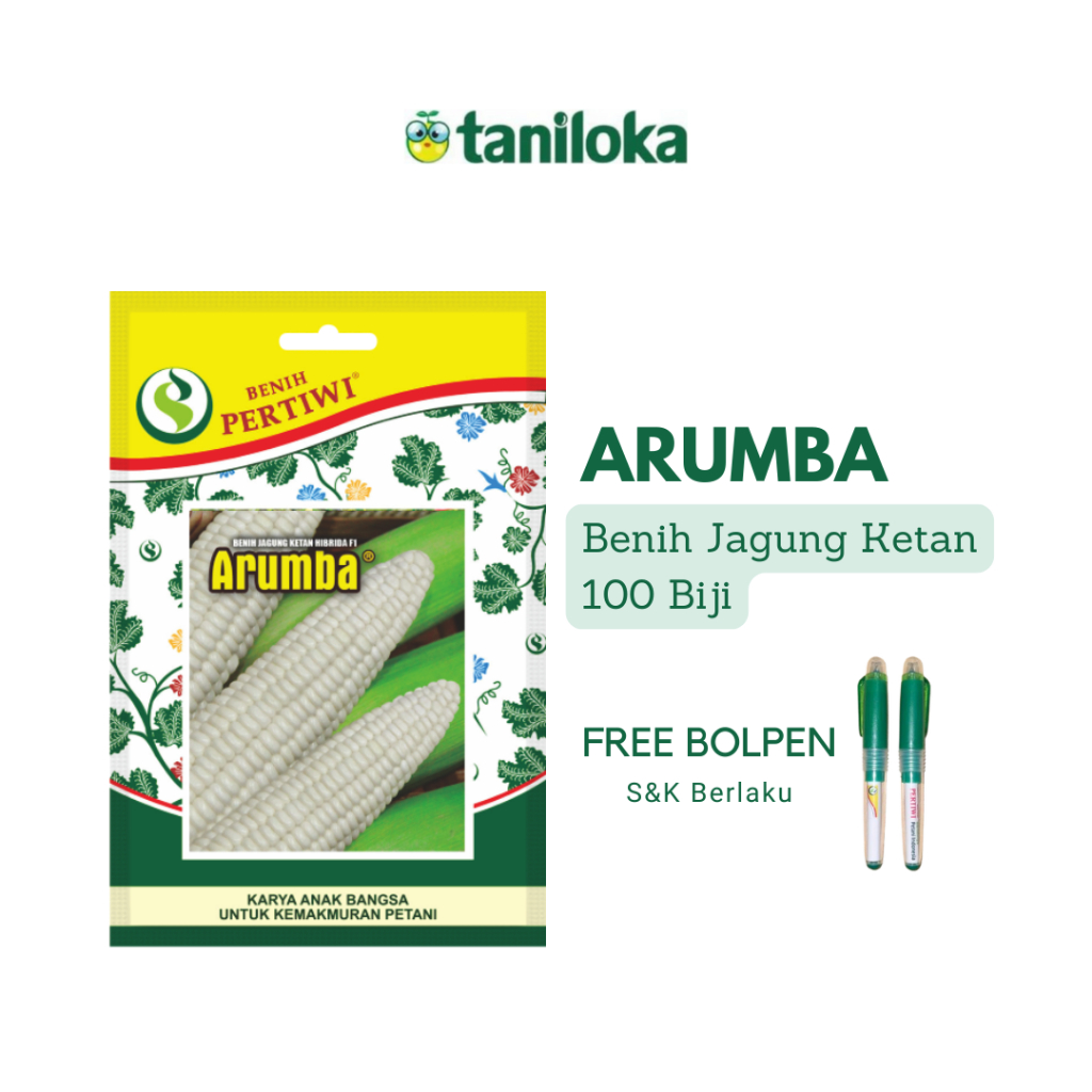 Jual Benih Pertiwi - Benih Jagung Ketan Arumba (100 Biji) | Shopee ...