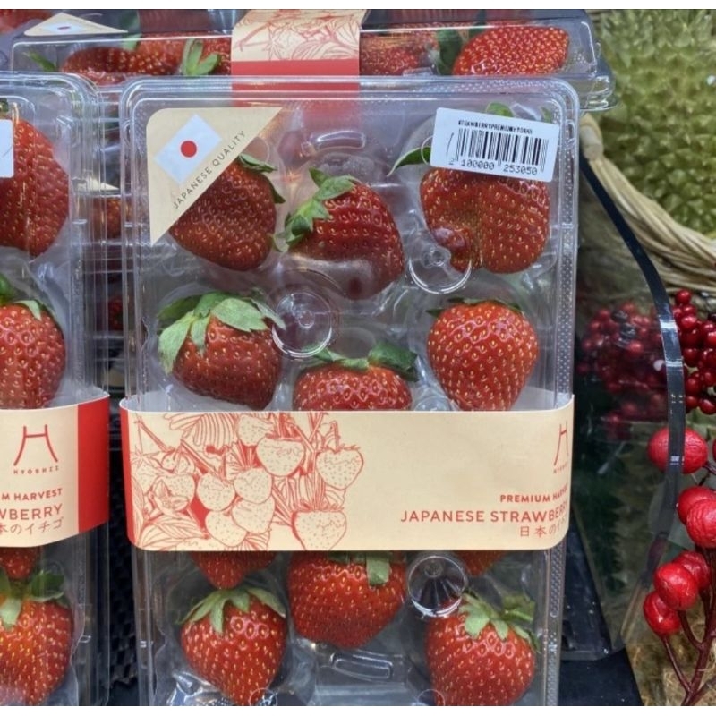 Jual Strawberry Jepang Hyoshii Japanes / Pack | Shopee Indonesia