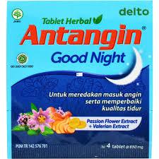 Jual ANTANGIN GOODNIGHT 1 STRIP 4 TABLET | Shopee Indonesia