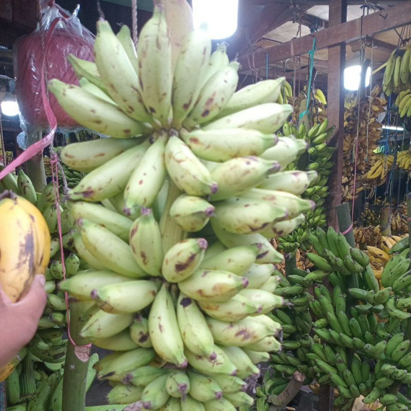 Jual pisang lampung 1 tandan | Shopee Indonesia