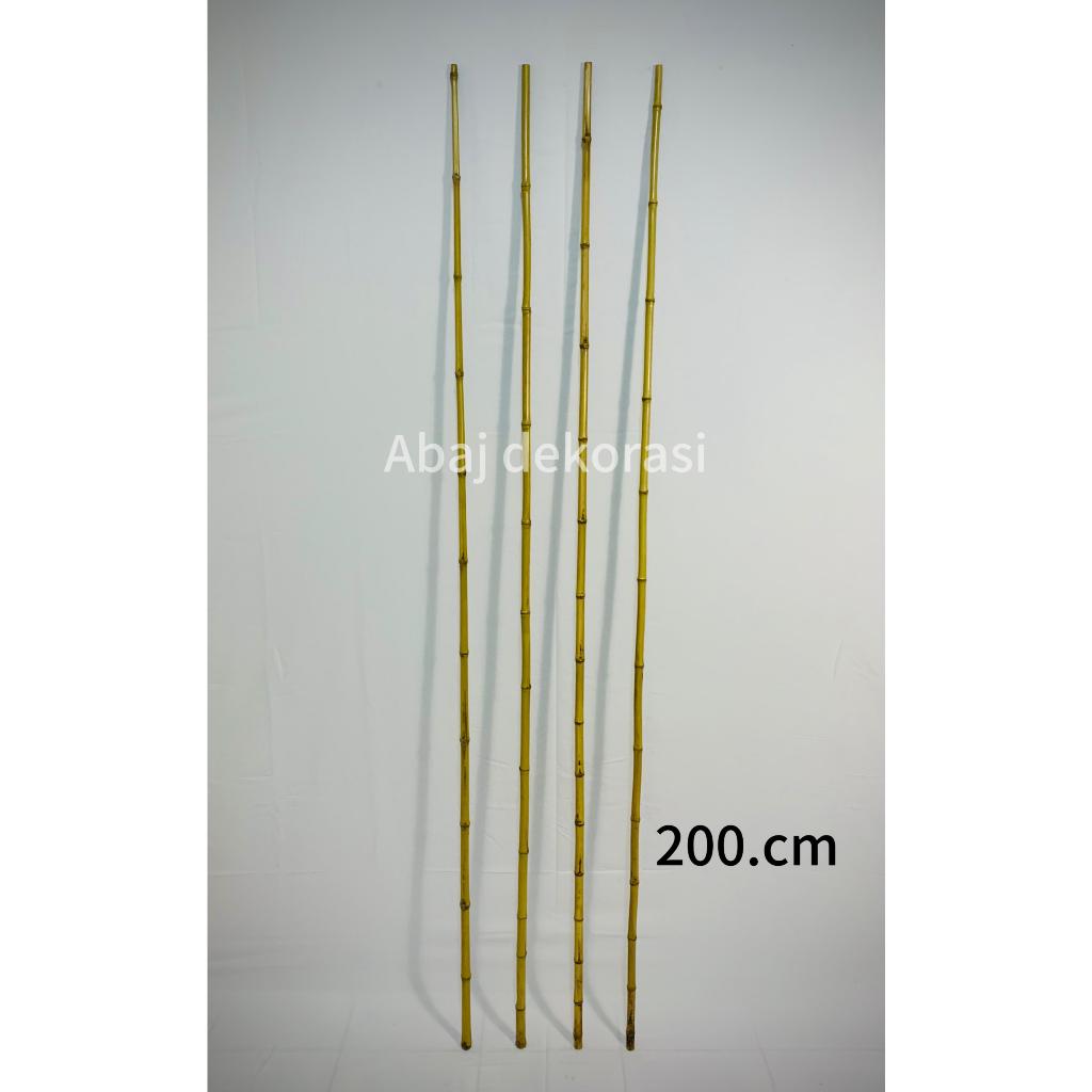 Jual (1PCS) Batang Bambu 2M diameter kecil/Bambu Partisi Bambu kuning ...