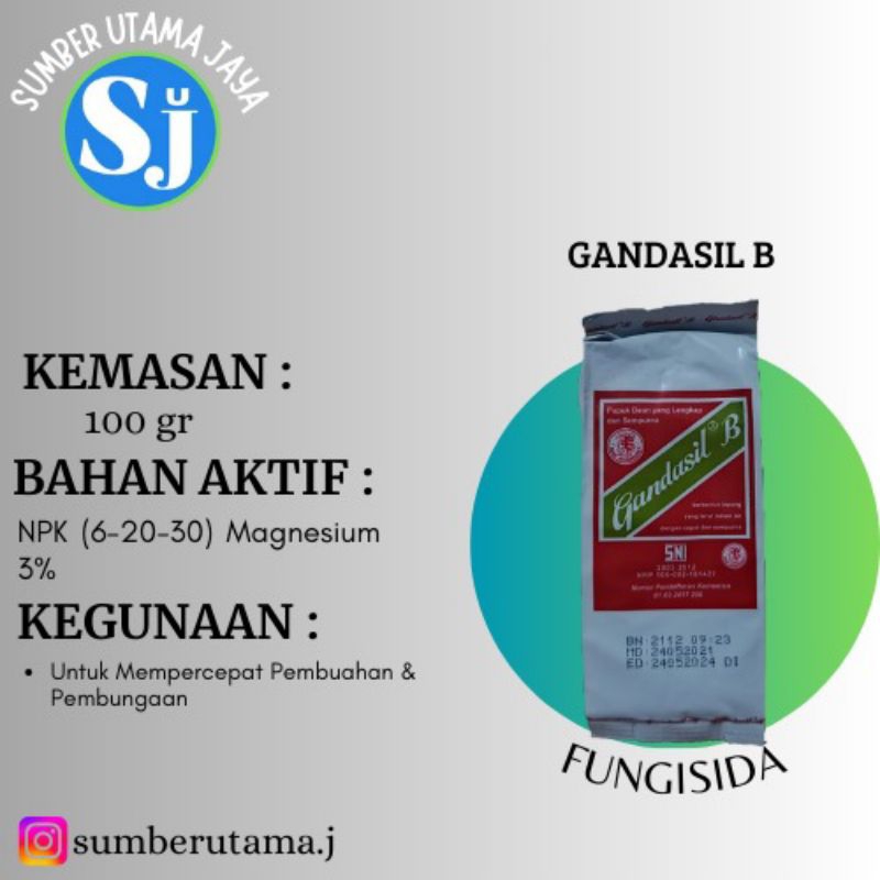 Jual GANDASIL B 100 GRAM | Shopee Indonesia