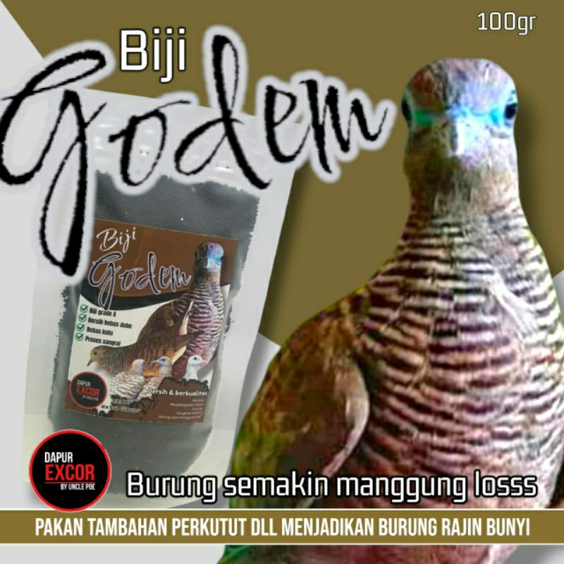 Jual biji godem pengacor manggung los perkutut 100 gr | Shopee Indonesia