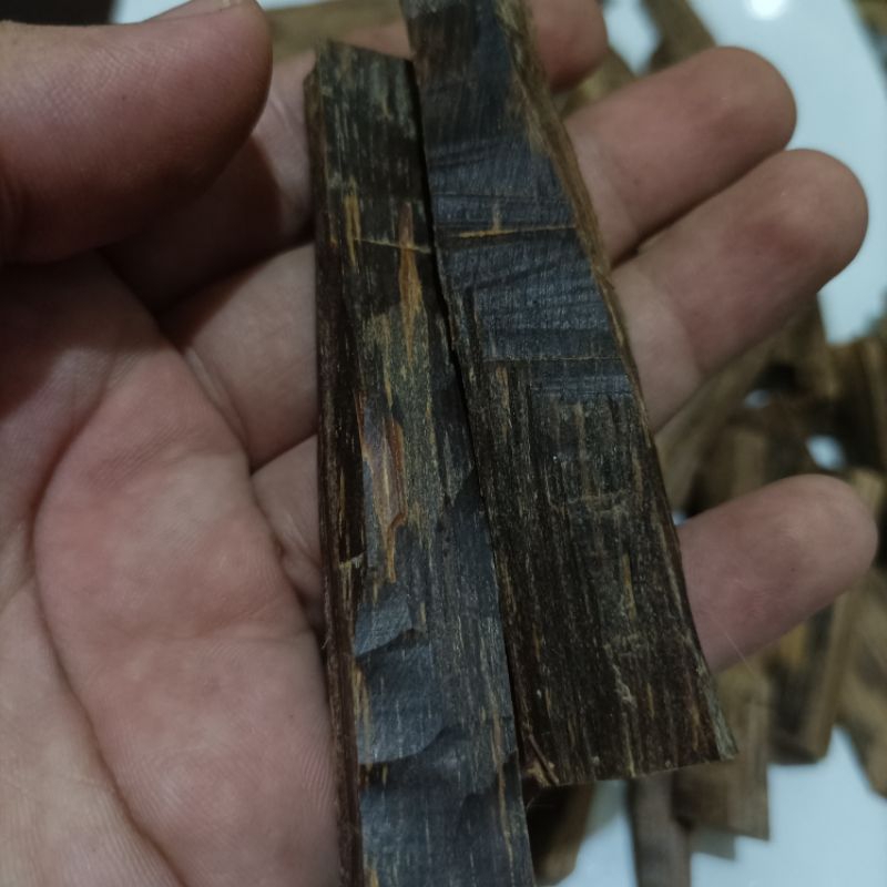 Jual Stik Gaharu Buaya 5kg Stik Gaharu Buaya 1000% Asli Alami Hutan ...