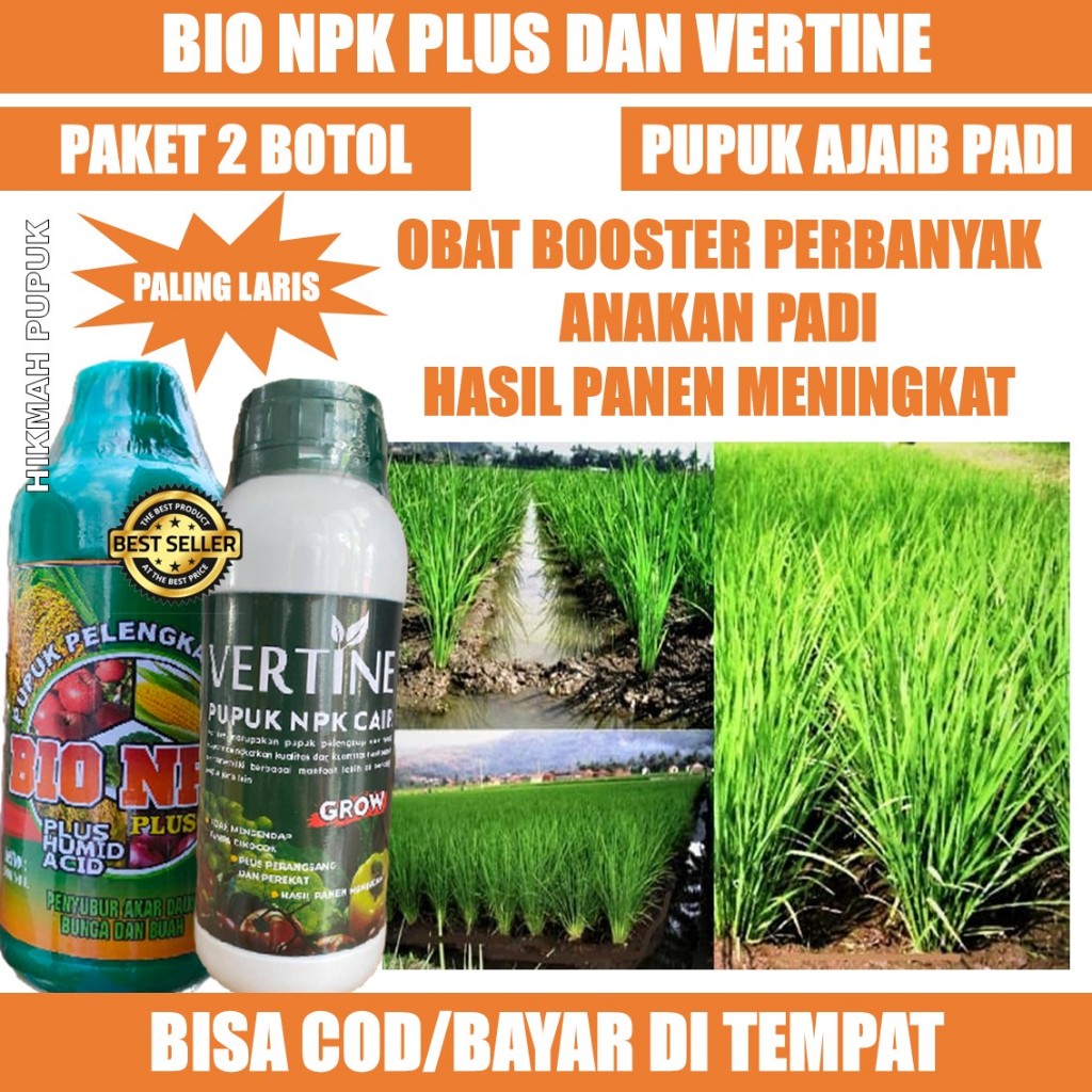 Jual PROMO PAKET 2 BOTOL PUPUK PADI VERTINE DAN NPK Penambah Bobot Padi Perbanyak Anakan Padi ...