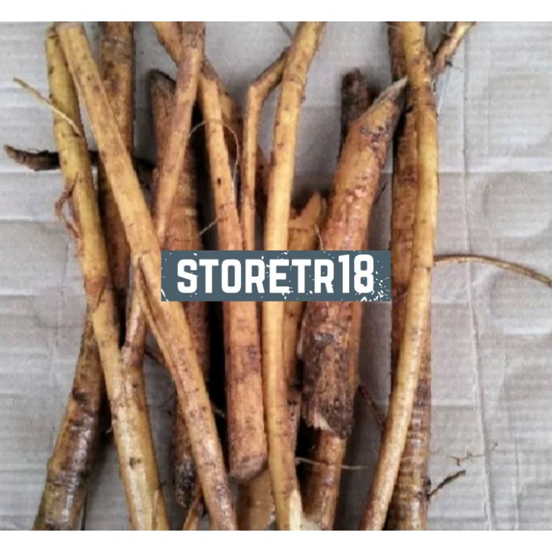 Jual Akar Tuba Segar Akar Jenu Pestisida Organik Paket 500 Gram ...