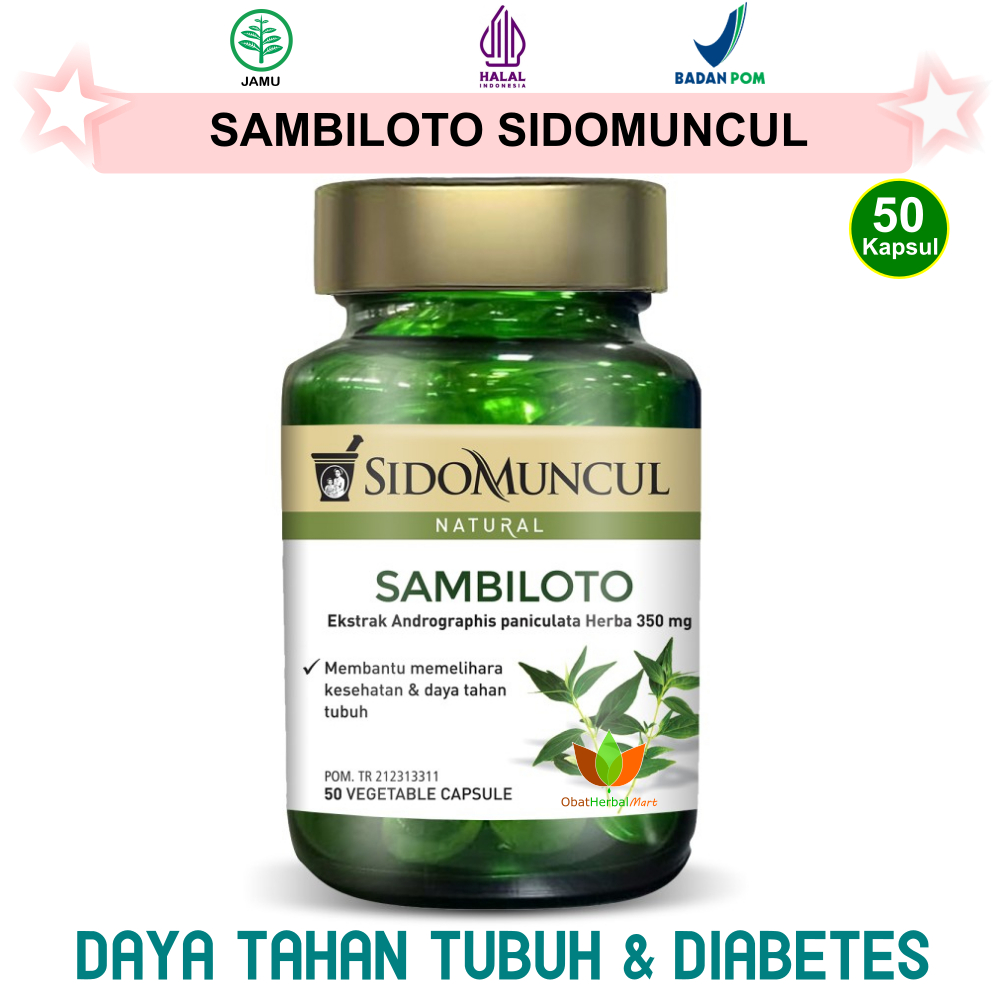 Jual 50 KAPSUL SAMBILOTO SIDOMUNCUL ASLI JAMU OBAT HERBAL DIABETES ...