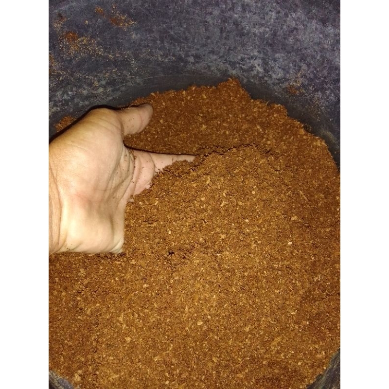 Jual Cocopit, Sabut Kelapa Halus. Media Tanam/Semai Dann Media Cangkog ...