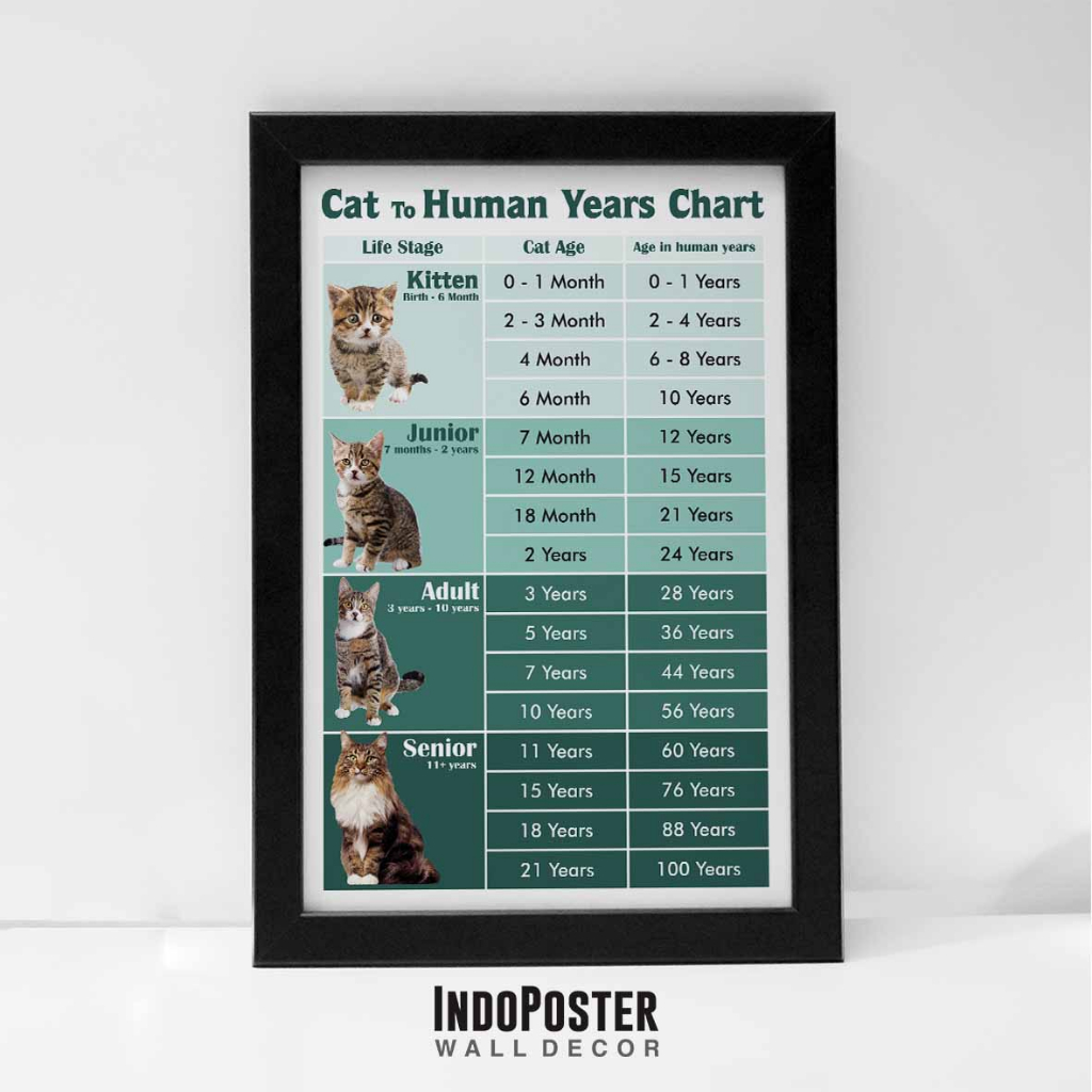 Jual Poster Pet Shop Klinik Dokter Hewan Clinic Pet Shop Perbandingan ...