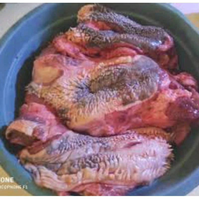 Jual Daging pipi dan Daging Kepala Sapi | Shopee Indonesia