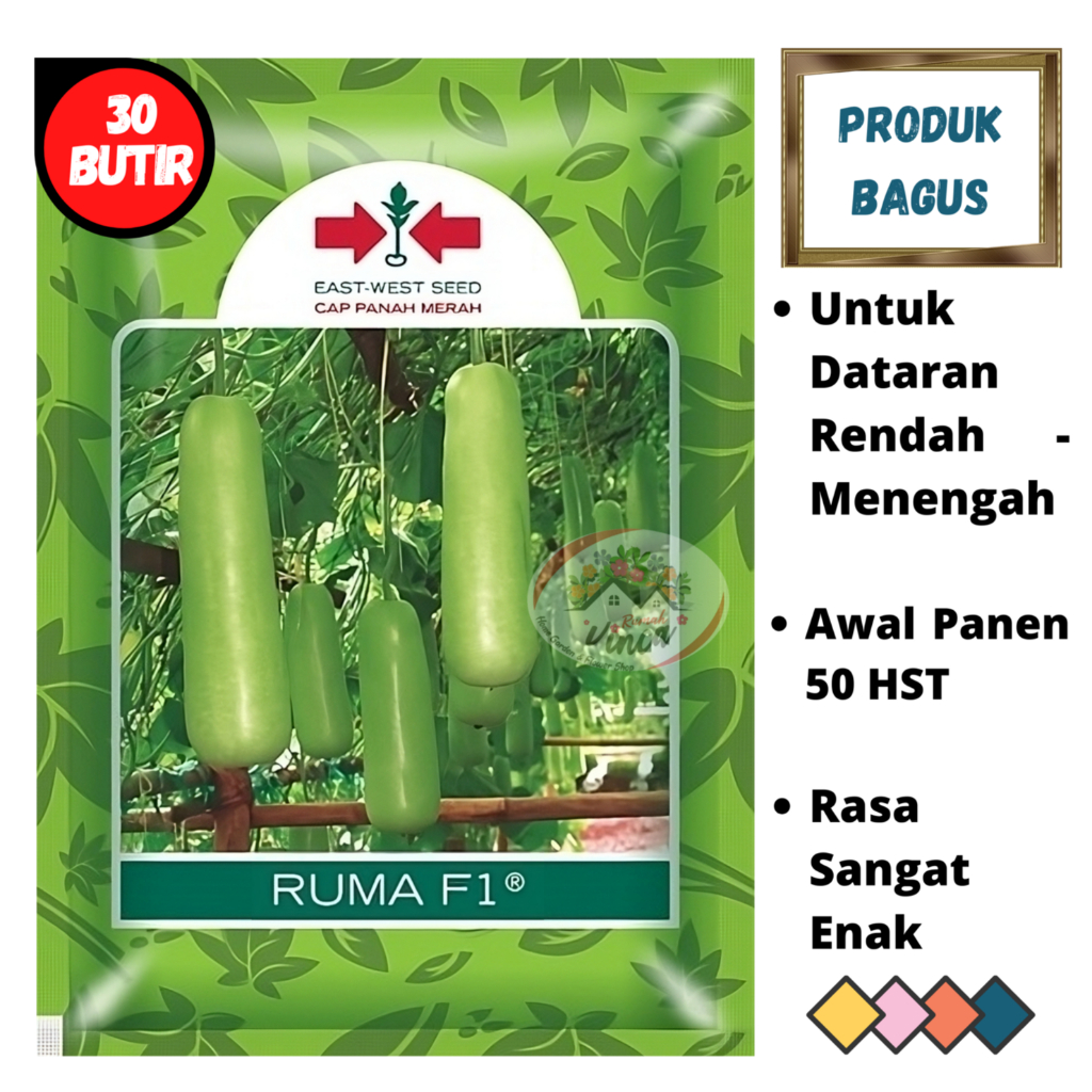 Jual Benih Bibit Biji Labu Air Labu Manis RUMA F1 30 Butir dari Cap ...
