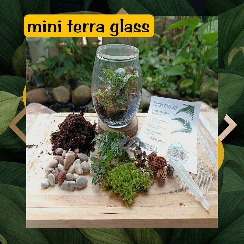 Jual mini terrarium kit | Shopee Indonesia