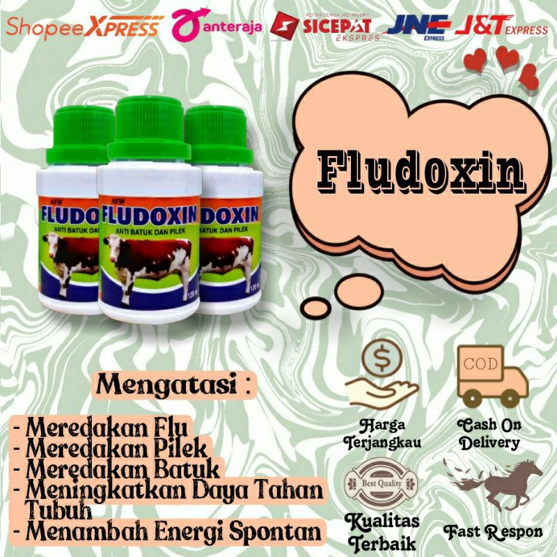 Jual Fludoxin Obat Flu, Pilek, & Batuk Sapi atau Kambing 120ml | Shopee ...